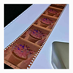 120mm Medium Format Colour Negative Film Scanning | Medium Format Film ...